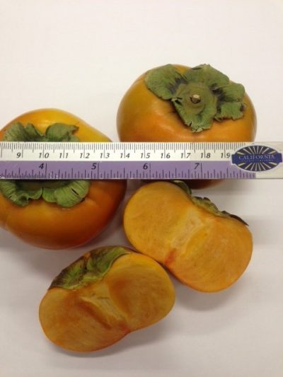 Fuyu Persimmon - California Specialty Farms