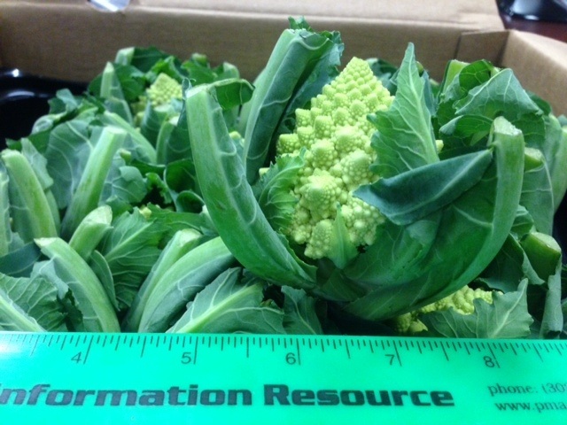 Baby Vegetables - California Specialty Farms