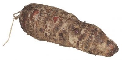 Yuca Root - California Specialty Farms